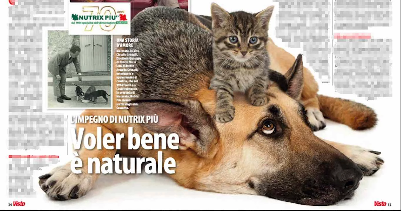 Speciale animali - L'impegno di Nutrix Più: voler bene è naturale